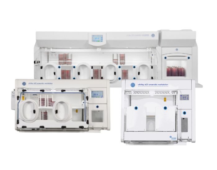 Stations Don Whitley : plongée dans la culture en anaérobie - Labo and Co